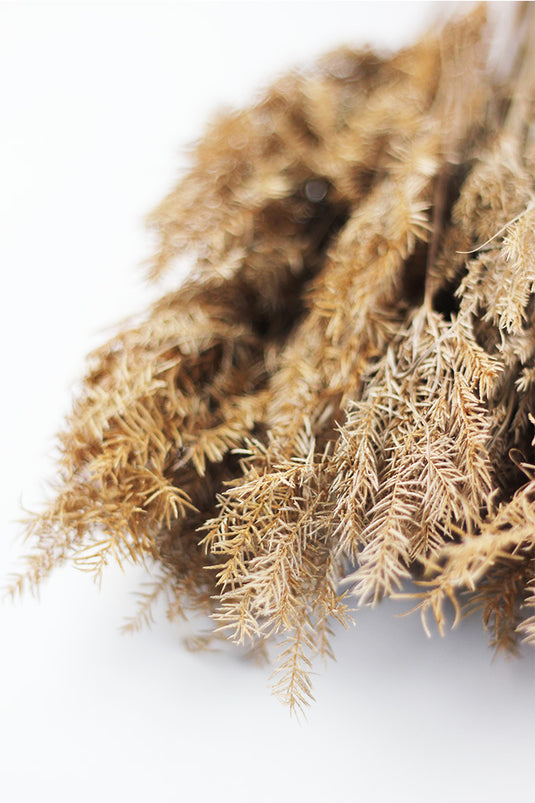 New Arrivals: Wholesale Dried Flowers, Preserved Foliage & More