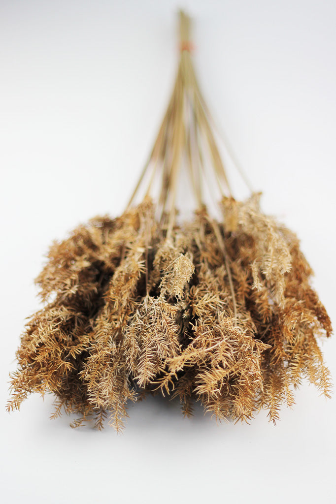Dried Flowers Decor: Wholesale Dried Flowers UK Delivery