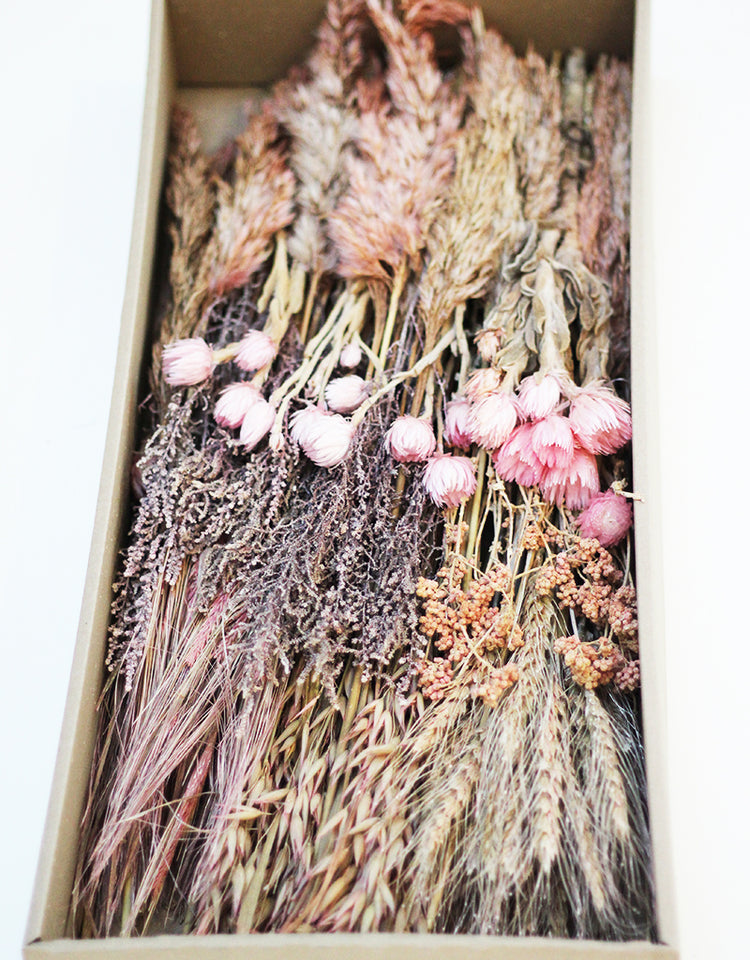 New Arrivals: Wholesale Dried Flowers, Preserved Foliage & More – Dried ...