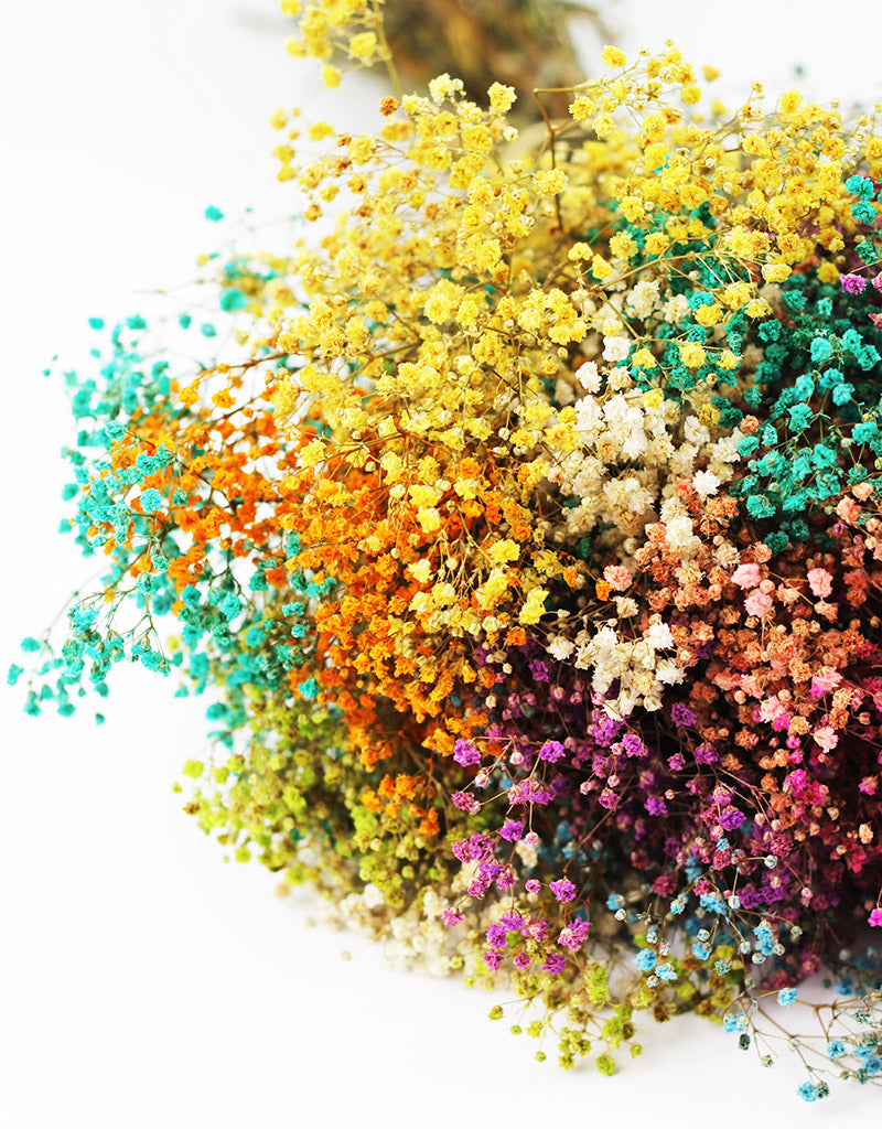 Wholesale Spring Dried Flowers l Whalesale Spring Dried Flowers – Dried ...