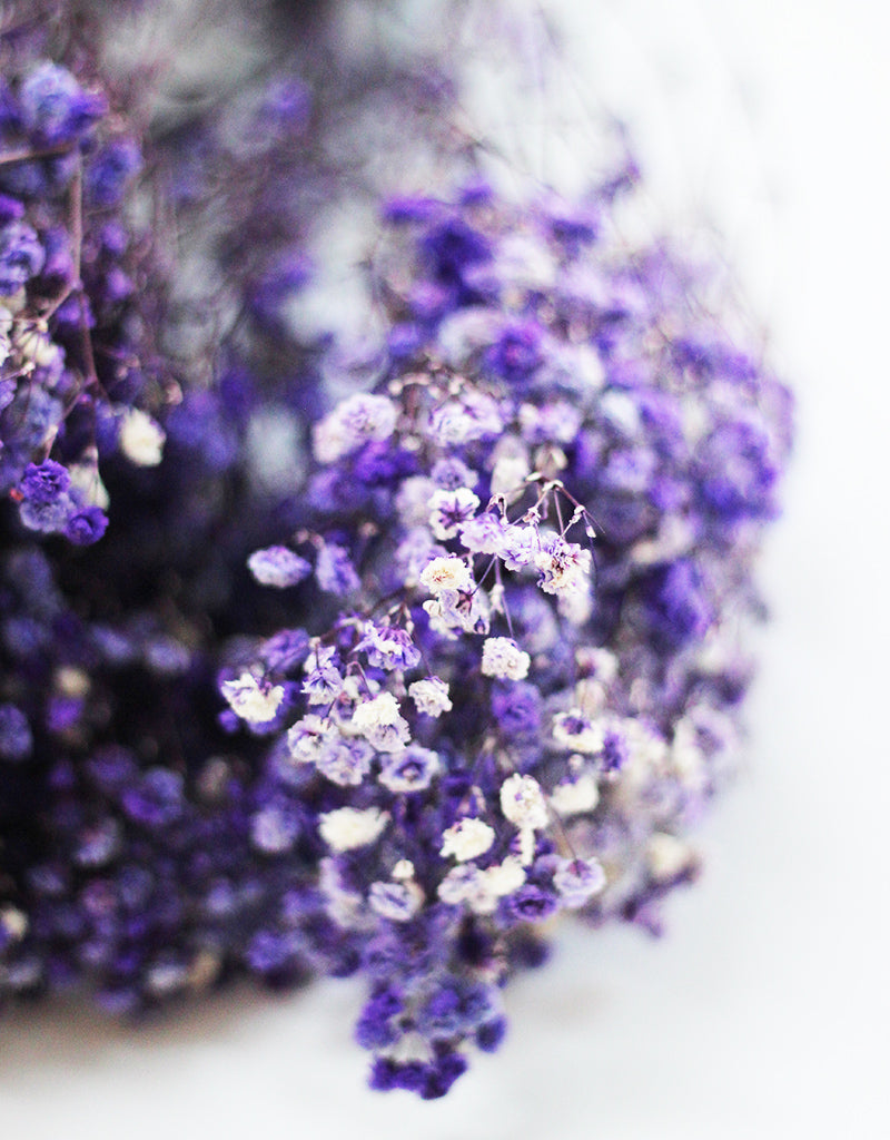 Purple Preserved Gypsophila Flowers, 70cm l Bulk Discounts