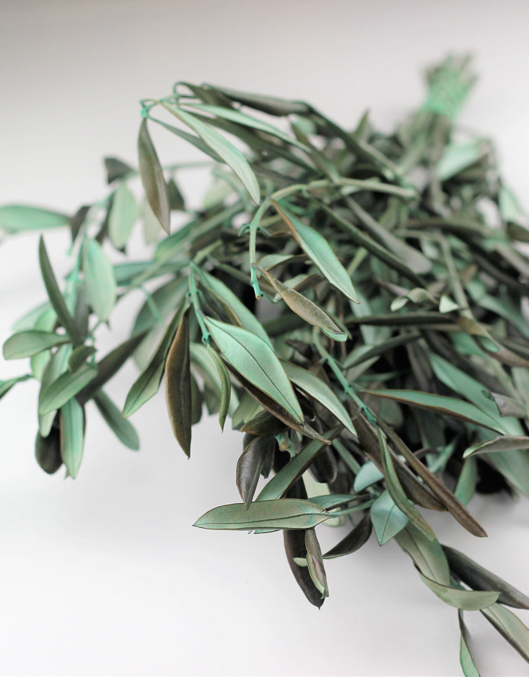 Wholesale Preserved Flowers & Foliage in UK | 🚀 Upto 35% Off