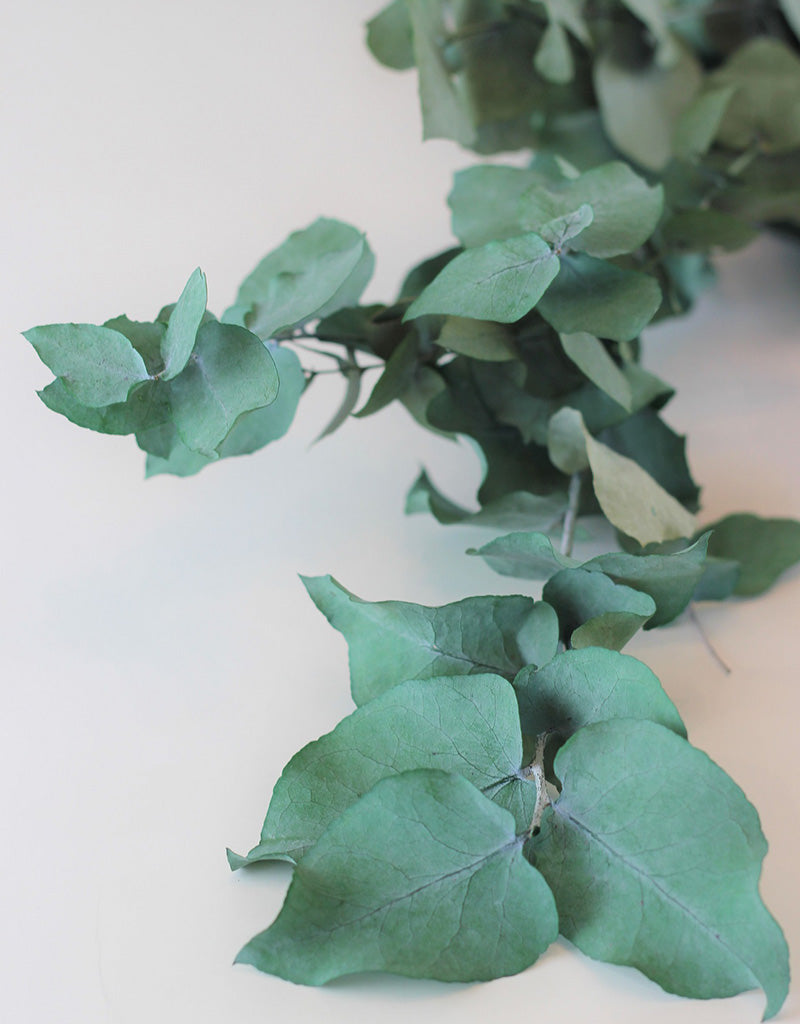 Halloween Dried Flowers & Preserved Foliage | Get Wholesale Discount ...