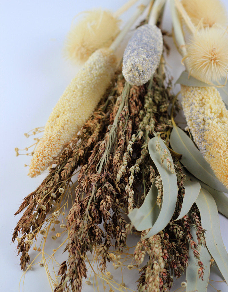 Dried Babala Bouquet l Bleached - 55 cm l Dried Bouquet
