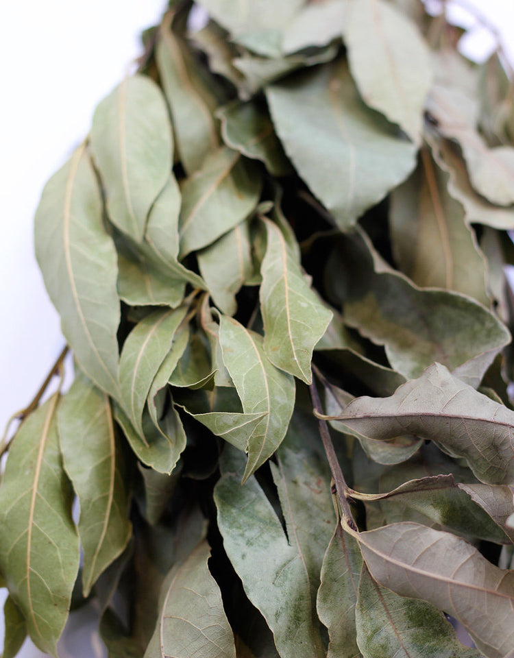 Natural Dried Laurier Bay Leaf Bunch, 45 cm l Dried Bay Leaf Bunch