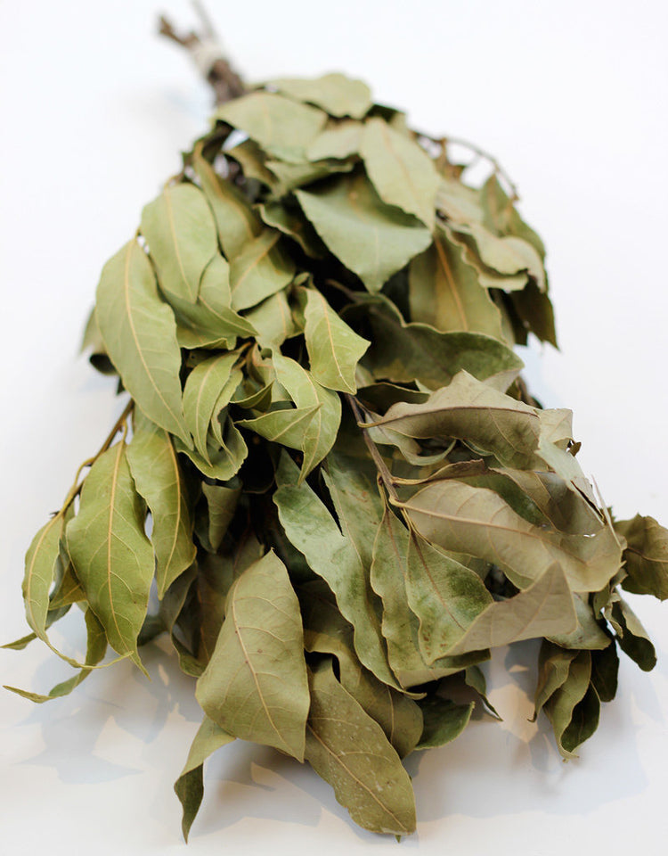 Natural Dried Laurier Bay Leaf Bunch, 45 cm l Dried Bay Leaf Bunch