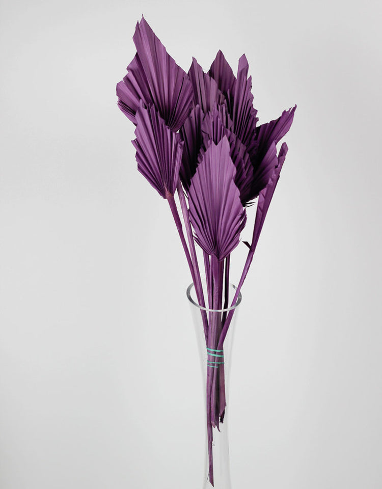 10 Purple Dried Palm Spears Bunch- 50cm l Wholesale Discounts