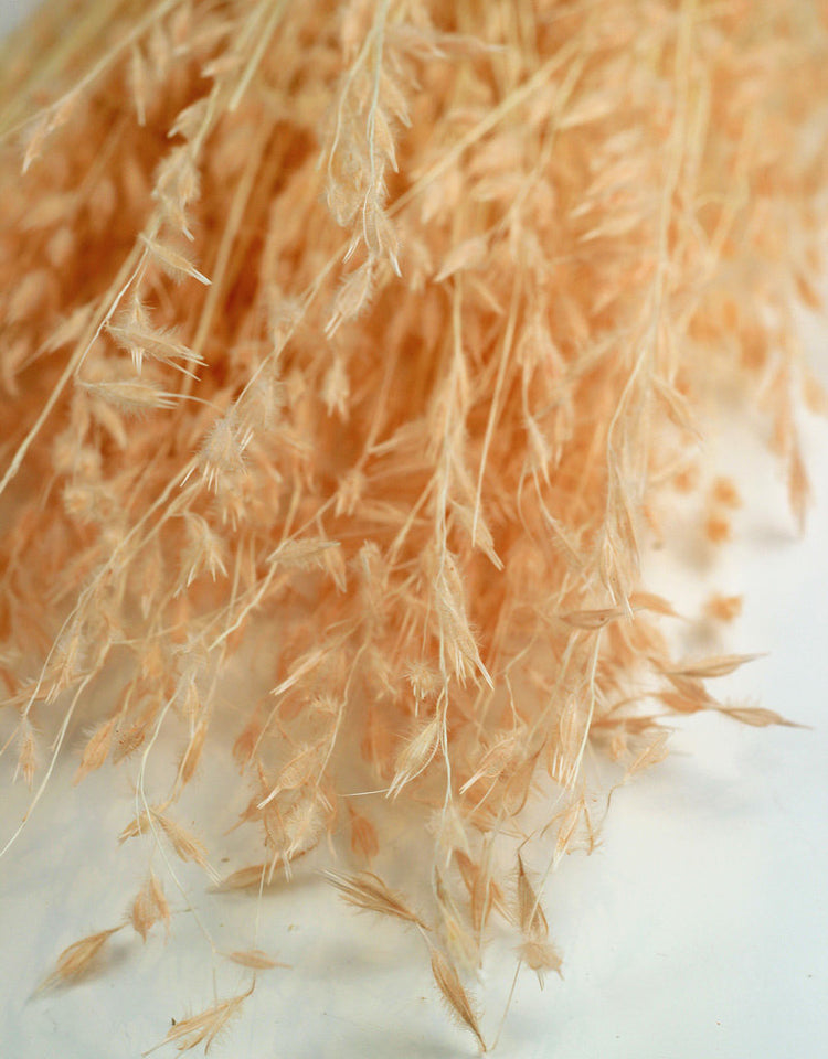 Dried Princess Grass - Light Pink Bunch, 80 cm l Pink Grass – Dried ...